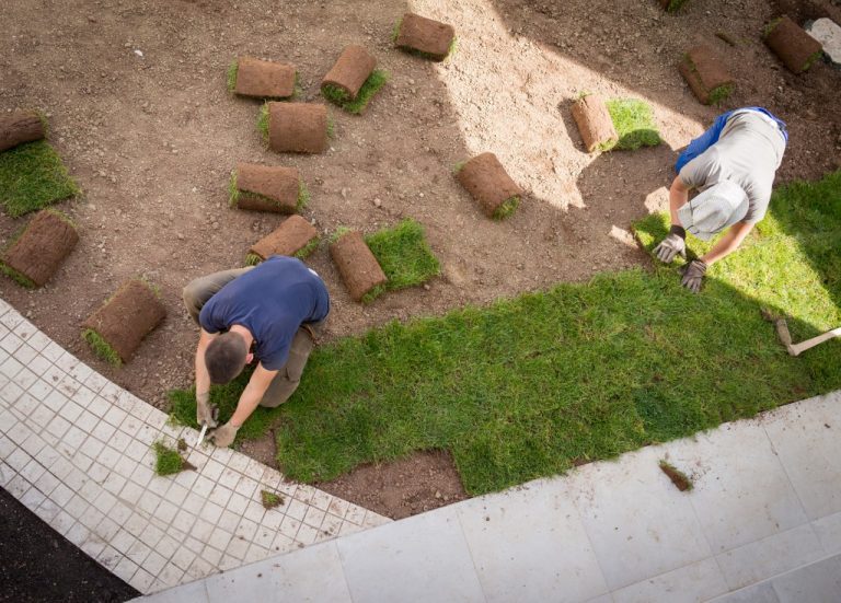 Top Ways to Solve Common Landscaping Problems - Ideal Solutions to ...